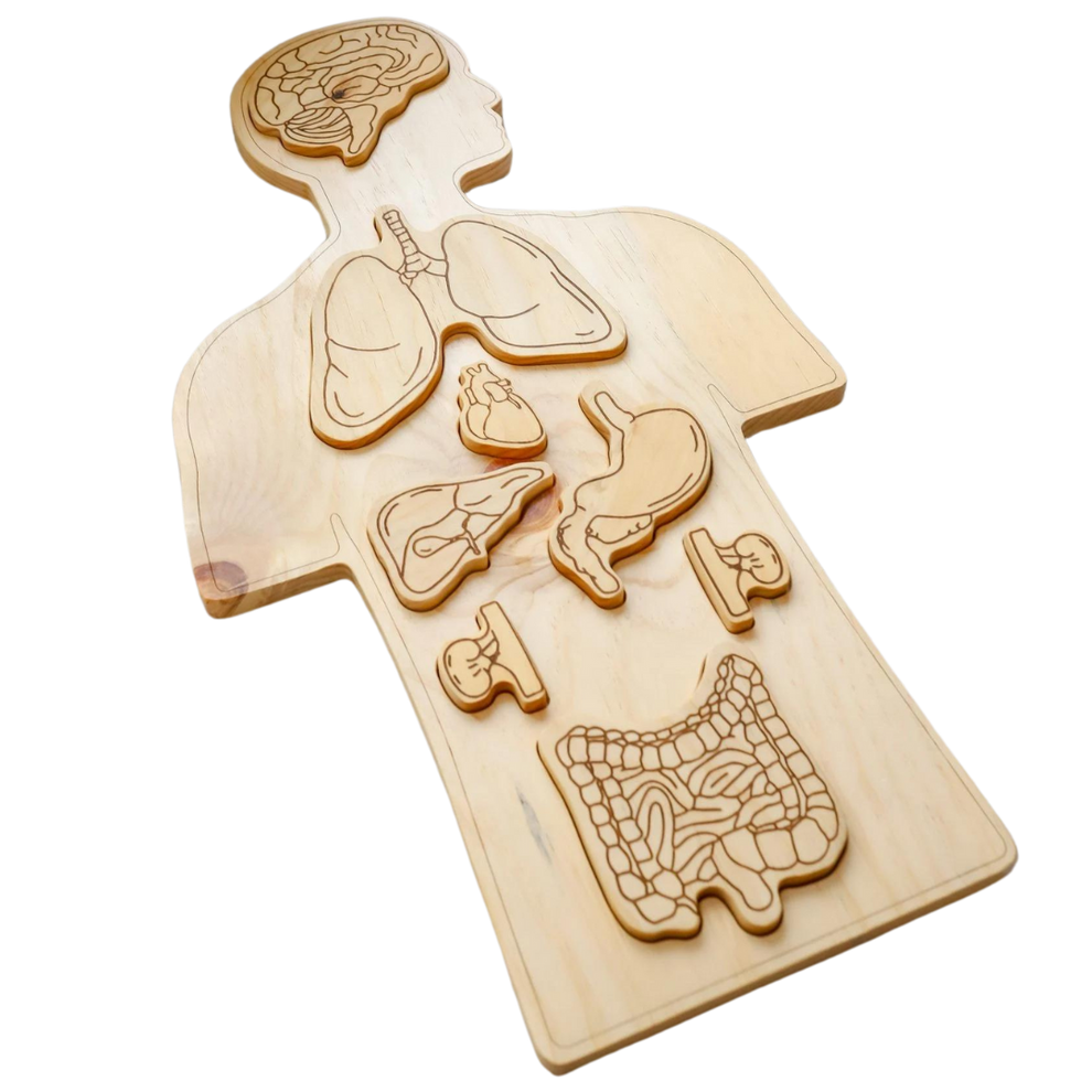 Wooden Anatomy Puzzle – Playful Eco